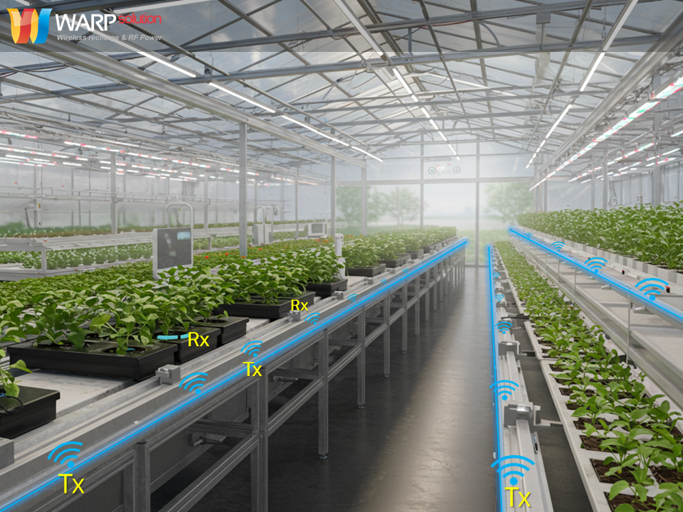 Blog - WARP Solution