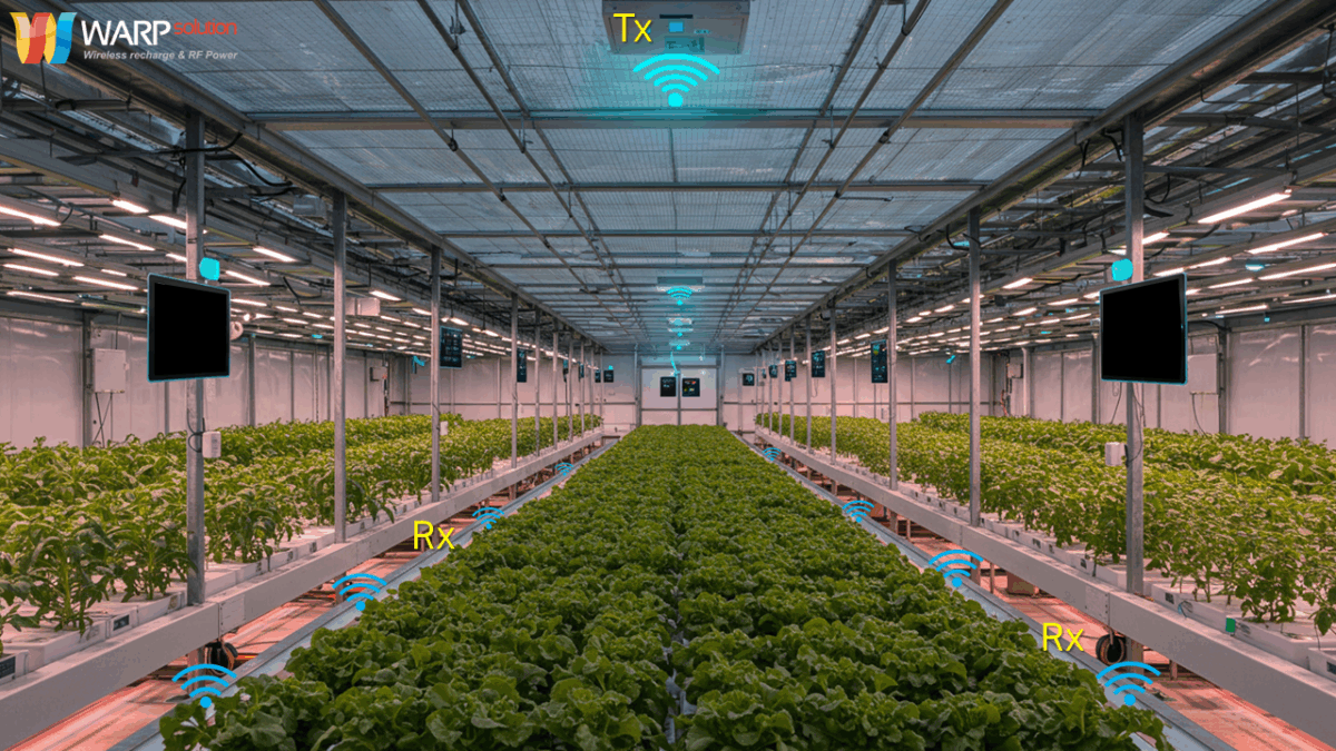 Blog-en - WARP Solution